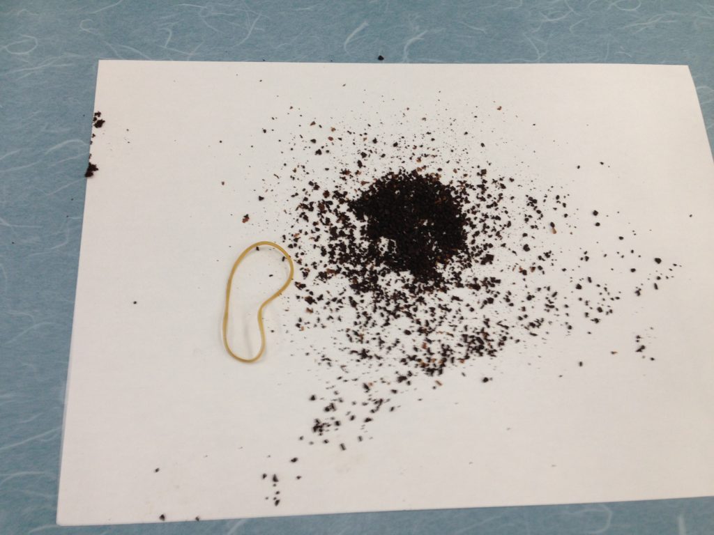 Daibo-san and the Daibo Coffee House in Tokyo, Japan - Feel this ...